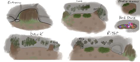 Thunderclan Medicine Den By Frostedsketch13 On Deviantart