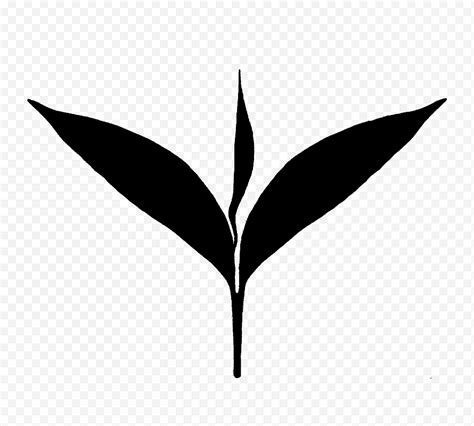 차잎 로고 녹차 말차 말차 녹차 스리랑카 차 생산 두 잎과 새싹 흑백 식물 Png Klipartz