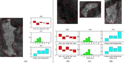 Figure 5 From An Adaptive Texture And Shape Based Defect Classification