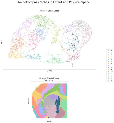 Mouse Brain Multimodal Tutorial NicheCompass