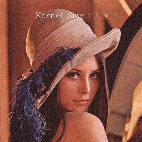 GitHub Nh K Computer Vision Computer Vision Implementation