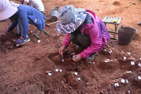 Understanding Moche Skeleton Sex Pots SAPIENS