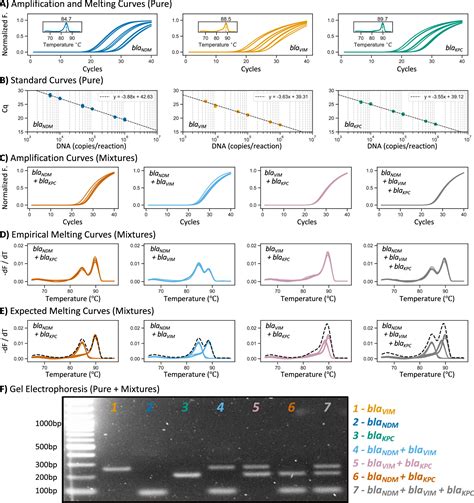 Pcr Amplification Graph