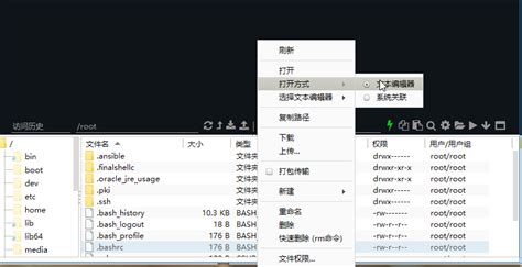 Java Xshell 的替代品 Finalshell 捏造的信仰 Segmentfault 思否