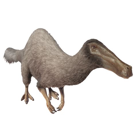 Marcher Avec Les Dinosaures Deinosuchus