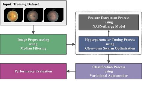 Figure 1 From A Deep Learning Grading Classification Of Diabetic Retinopathy On Retinal Fundus
