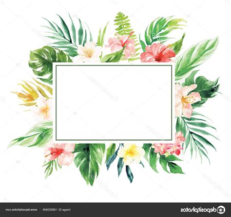Rectangle Border Vector At Vectorified Com Collection Of Rectangle Border Vector Free For