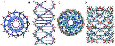 Hexameric Nucleic Acid Structures A Top And B Side Views Of The Download Scientific