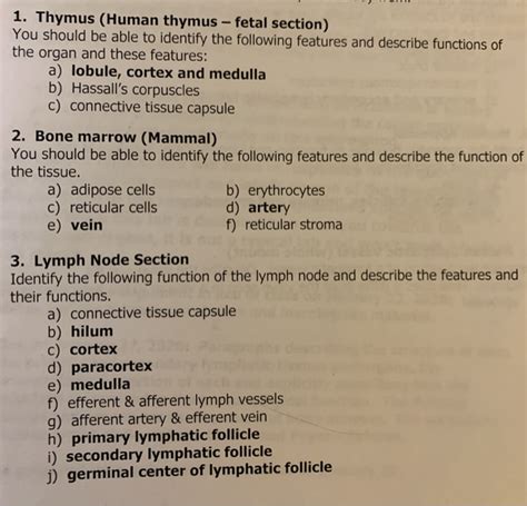 Solved 1 Thymus Human Thymus Fetal Section You Should