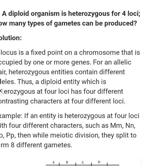 A Diploid Organism Is Heterozygous For 4 Loci Ow Many Types Of Gametes C