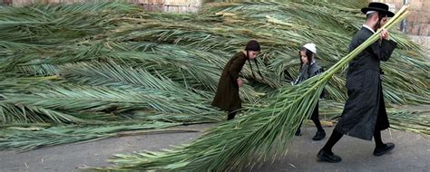 Беседы к празднику Суккот — Александр Бленд
