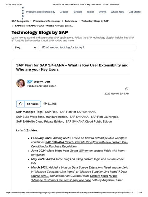 Sap Fiori For Sap S 4hana What Is Key User Extensibility Pdf Software Engineering