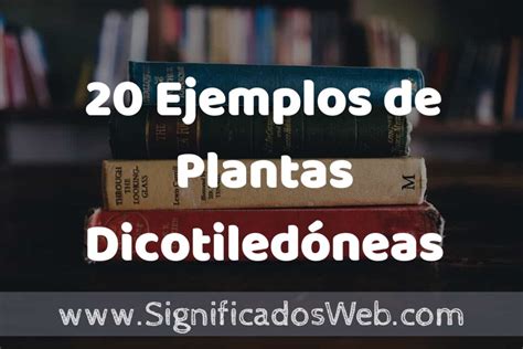 20 Ejemplos De Plantas Dicotiledóneas ️ Tipos Definición Y Análisis