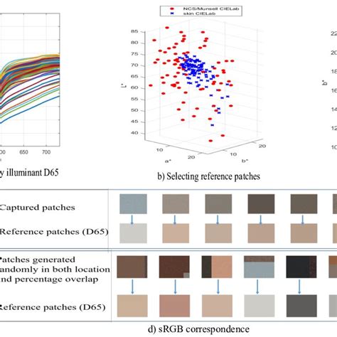 Acquired Patches For The Dataset A Reflectance Of Skin Tones Under