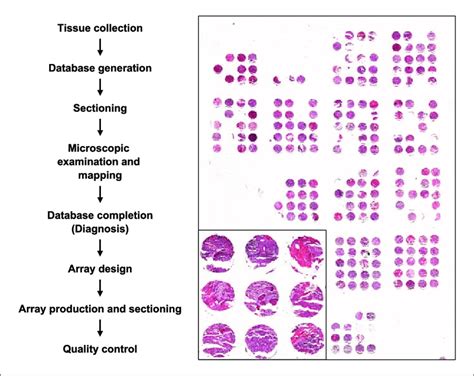 Successive Steps In The Array Design And Construction The Attached Download Scientific Diagram