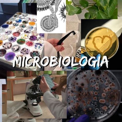 Microconidias Microconidias • Instagram Photos And Videos