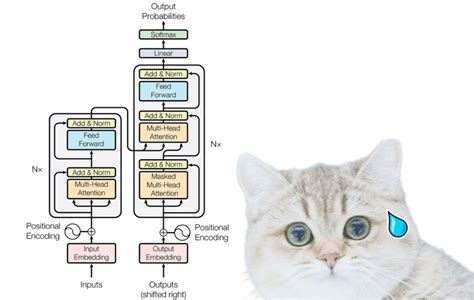 图解逐步理解Transformers的数学原理 单词 矩阵 数据