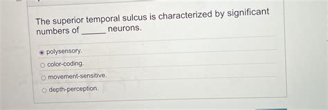 Solved The Superior Temporal Sulcus Is Characterized By S