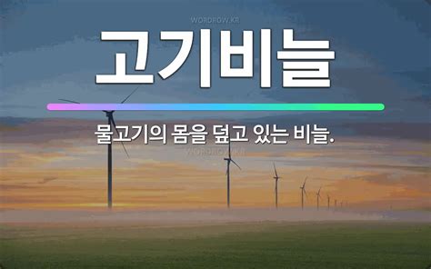 🌟고기비늘 물고기의 몸을 덮고 있는 비늘 표준국어대사전