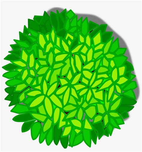 Tree Clipart Top View At Zac Ayers Blog