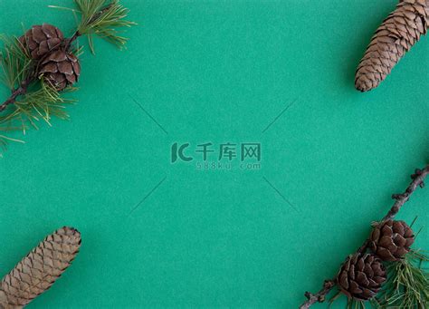 绿色背景上有球果和冷杉球果的冷杉枝条高清摄影大图 千库网