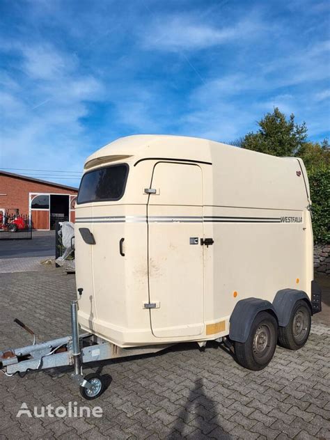 Продажба на ремарке за превоз на коне Германия Dorsten Nl30954