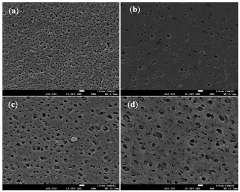 Scanning Electron Microscopy Sem Revealed That Pore Size Is Directly Download Scientific