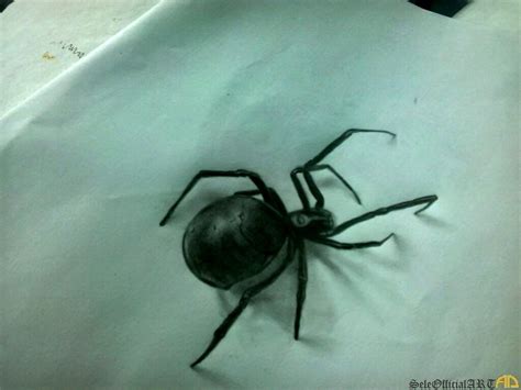 Printable 3d Spider Drawing