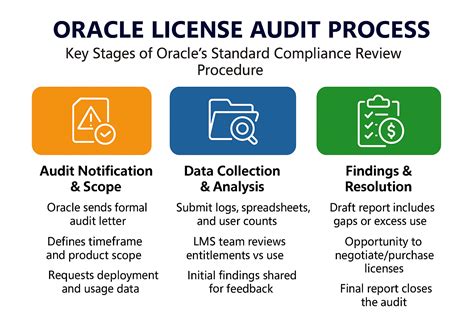 Oracle License Audit Process
