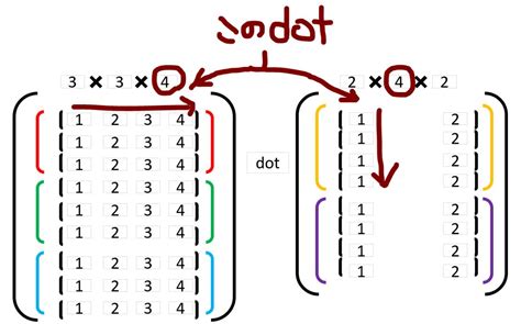 Numpydotの使い方について（次元別の仕様を整理） Rainbow Engine