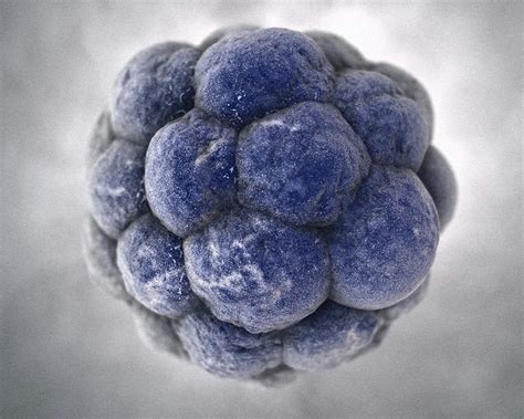 بیولوژیست های ایرانی Iranian Biologists به درخواست یکی از دوستانمون که سئوالی در رابطه با