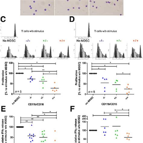 Suppression By Pmn Mdsc Depends On Maturation Status Pmn Mdsc Subsets Download Scientific