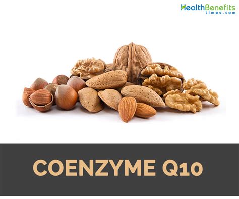 Coq10 Foods Sources Brain Mind Article