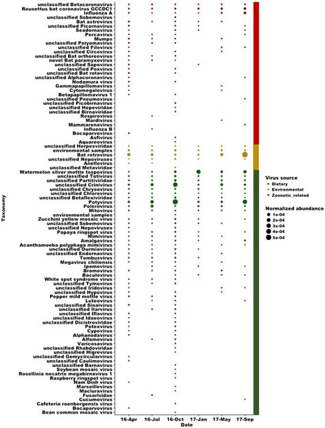 Classifiable Members Of The Lesser Dawn Bat Virome From Unbiased Download Scientific Diagram