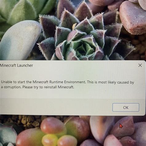 this has never happened to me before help pls [java] r minecrafthelp