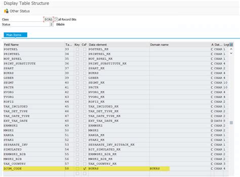 Ci Bit Class Enhancement With Custom Fields Sapcodes