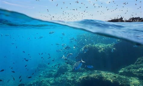 តើទឹកសមុទ្រកកើតឡើងតាំងពីពេលណា Khmer Breaking News