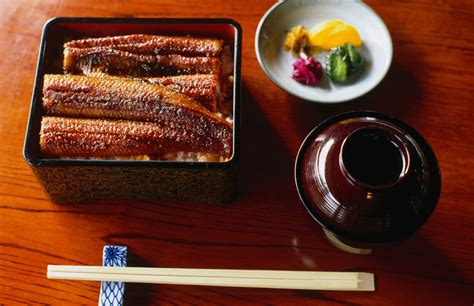 What Is Unagi