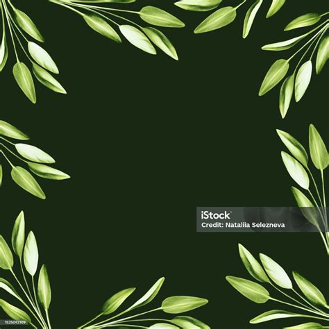 배경에 분리된 신선한 세이지가 있는 수채화 프레임 미용 제품 및 식물학 세트 화장품 및 의학의 세부 사항 디자이너 스파 장식 엽서 포장지 스크랩북 표지 초대장 포스터 및