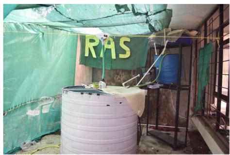 Entire Setup Of Ras System Entire Setup Of Ras System