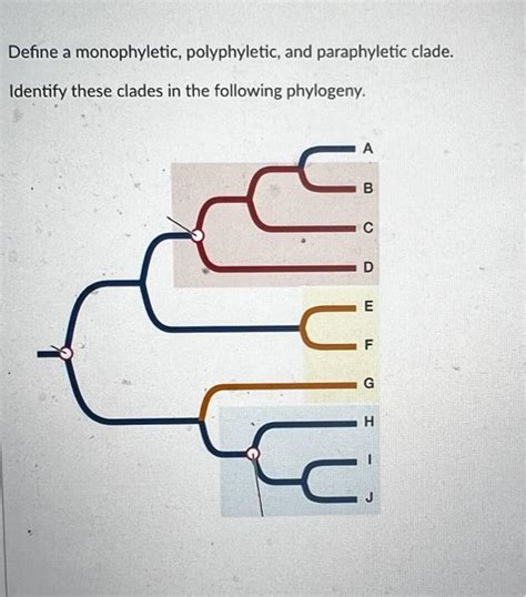Solved Define A Monophyletic Polyphyletic And Paraphyletic