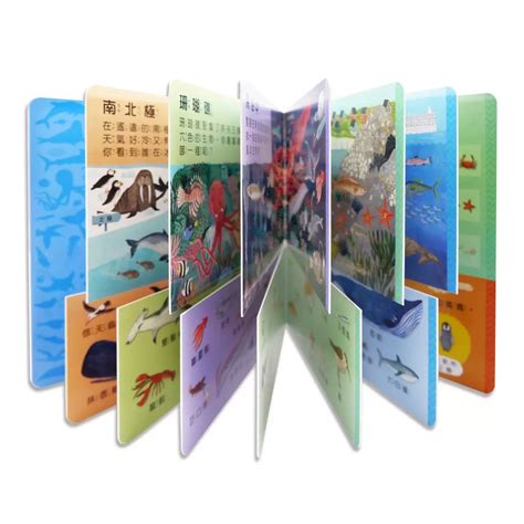 英國 Campbell 上下配對啟蒙百科翻翻書 四冊合售 134528Costco好市多必買推薦