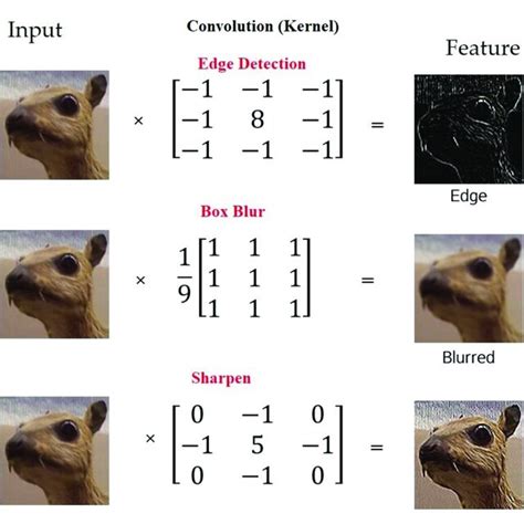 Pdf Theoretical Understanding Of Convolutional Neural Network