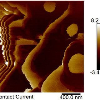 Conductive Atomic Force Microscopy Image Of Tunneling Currents In Download Scientific Diagram