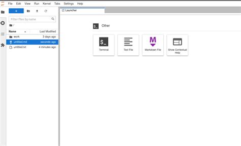 Followed Quickstart But No Kernels Did I Miss Something · Issue 56 · Skai Xelastic Jupyter