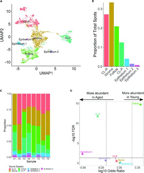 Major Cell Types Found In The Mouse Ovary A Umap Plot Of New Clusters