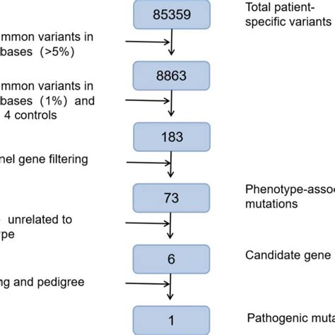 Work Flow Of Wes Analysis In This Study One Variant In Ep300 Was
