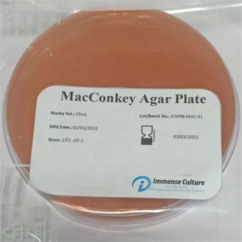 Macconkey Agar Plate At ₹ 45piece Agar Plate In Moranhat Id
