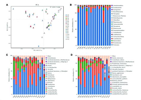 Bacterial Community Structure In Whole Plant Paper Mulberry Silage N Download Scientific