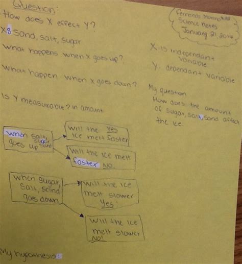 Hypothesis Science Project